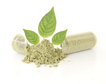 Clean Supplements Home Page